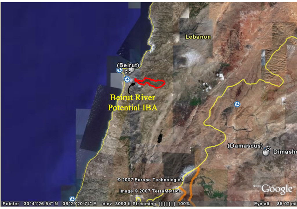 Important Bird Areas-IBAs: Beirut River Valley | Society for the ...