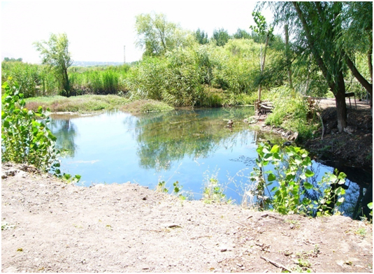 Hima Aanjar | Society for the Protection of Nature in Lebanon