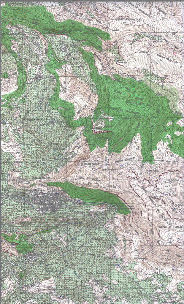 Important Bird Areas-IBAs: Ehden Forest Nature Reserve | Society for ...