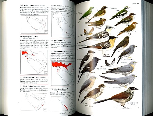 Birds of the Middle East: (Arabic Edition) | Society for the Protection ...