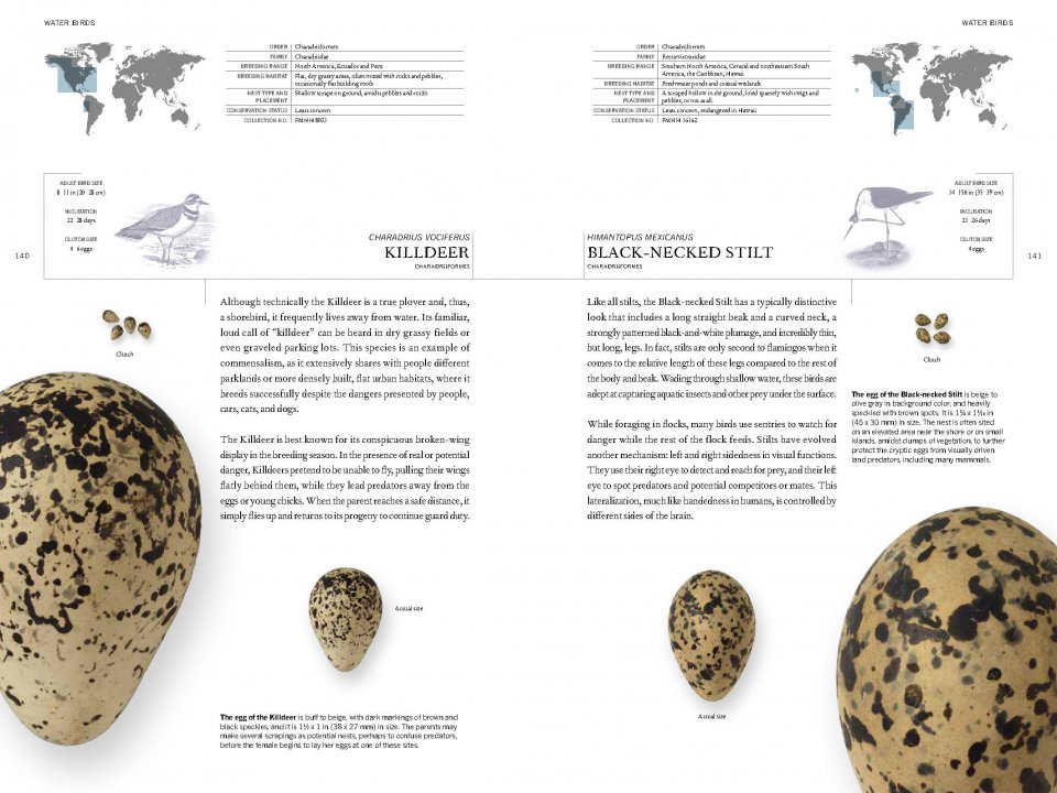 The Book of Eggs: A Lifesize Guide to the Eggs of Six Hundred of the ...