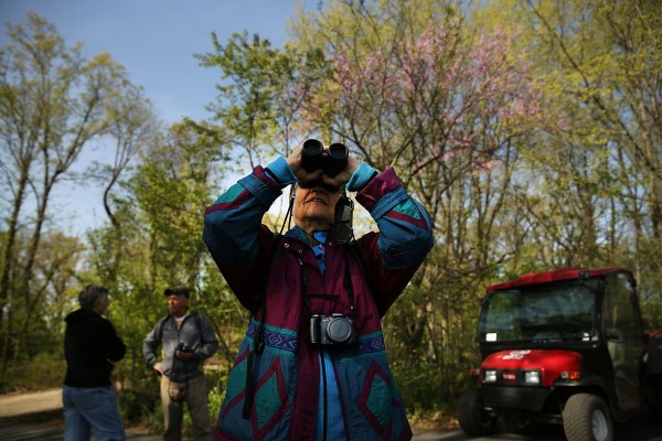 News in Photos: Bird Watching Groups Head To NYC Parks | Society for ...