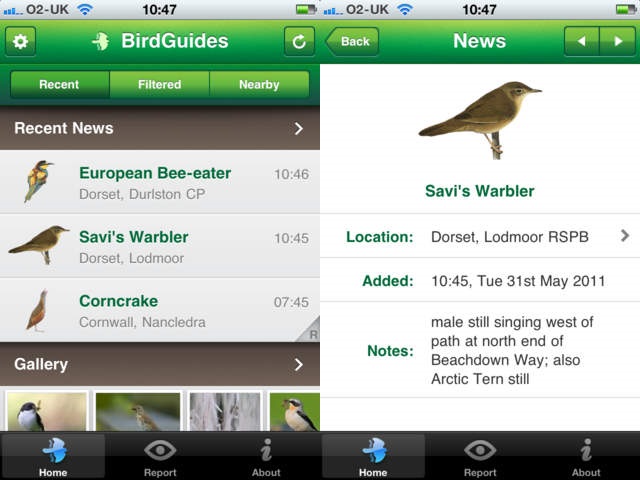 The Top 9 Wildlife Apps For Your Mobile Phone | Society for the ...