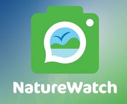 NatureWatch App - Watch nature, share moments, conserve sites | Society ...