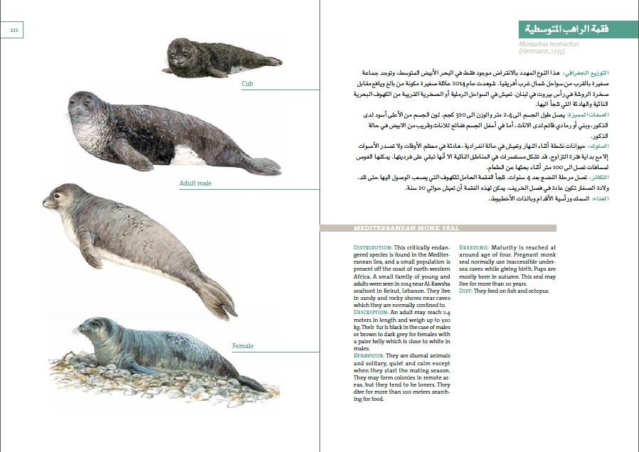 Field Guide to the Mammals of the Middle East: Second Edition ...