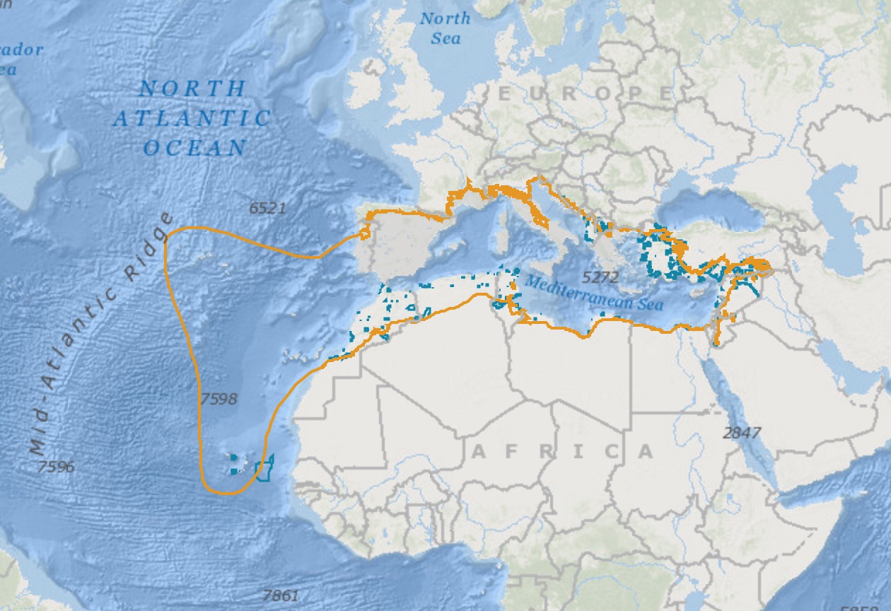 CEPF updating of the Ecosystem Profile for the Mediterranean Basin ...