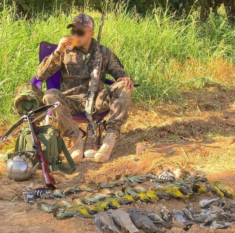 Migratory Birds being shot down by automatic gunfire in Dinnieh ...