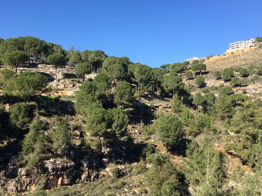 Hima Kayfoun | Society for the Protection of Nature in Lebanon