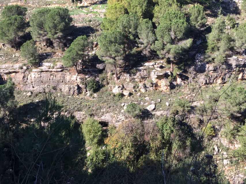 Hima Sites Archives | Society for the Protection of Nature in Lebanon