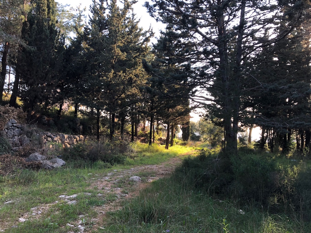 AUB students assess the Landscape of Shemlan and ecotourism trails of ...