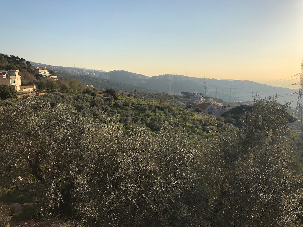 AUB students assess the Landscape of Shemlan and ecotourism trails of ...