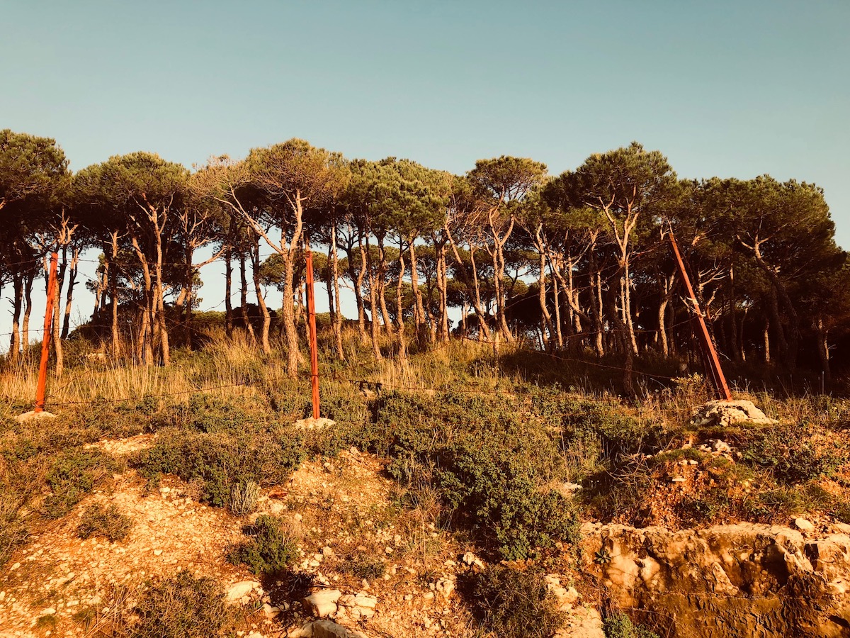 AUB students assess the Landscape of Shemlan and ecotourism trails of ...