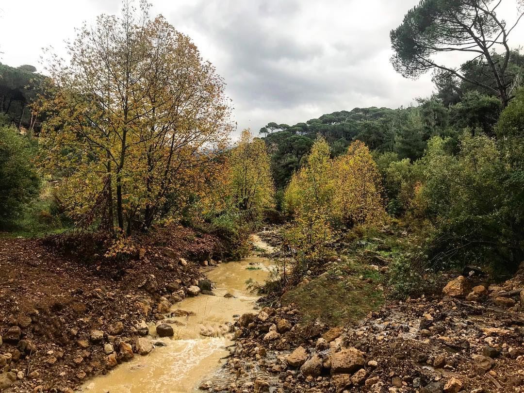 Hima Sites Archives | Society for the Protection of Nature in Lebanon