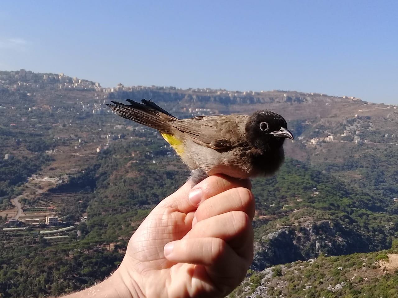 Hima Ras el-Matn | Society for the Protection of Nature in Lebanon