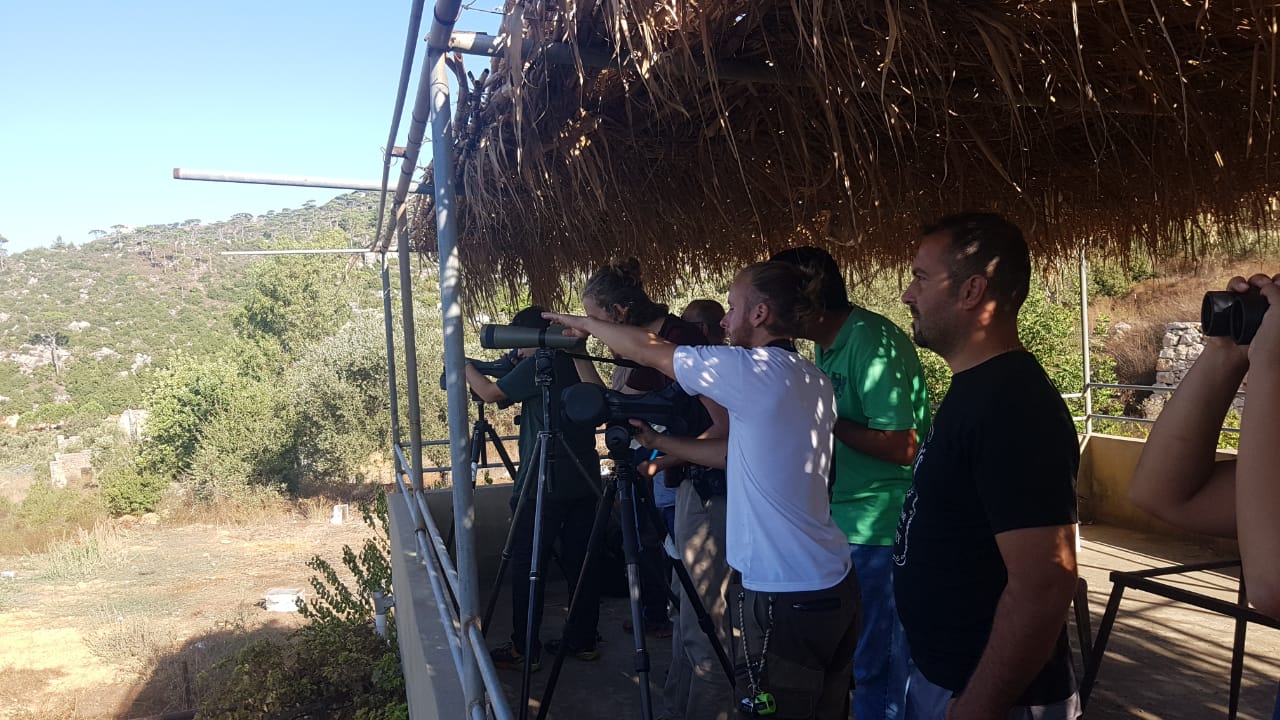 “Unifying our Voices for Bird Conservation”: Birdlife Sweden and SPNL ...