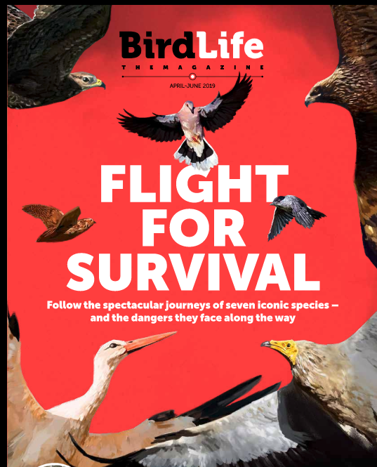 BirdLife: The Magazine April - June 2019 | Society for the Protection ...