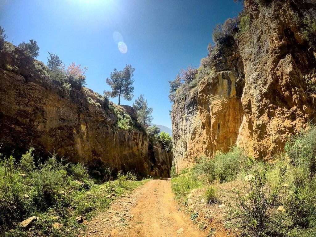 Hima Kfarmatta | Society for the Protection of Nature in Lebanon
