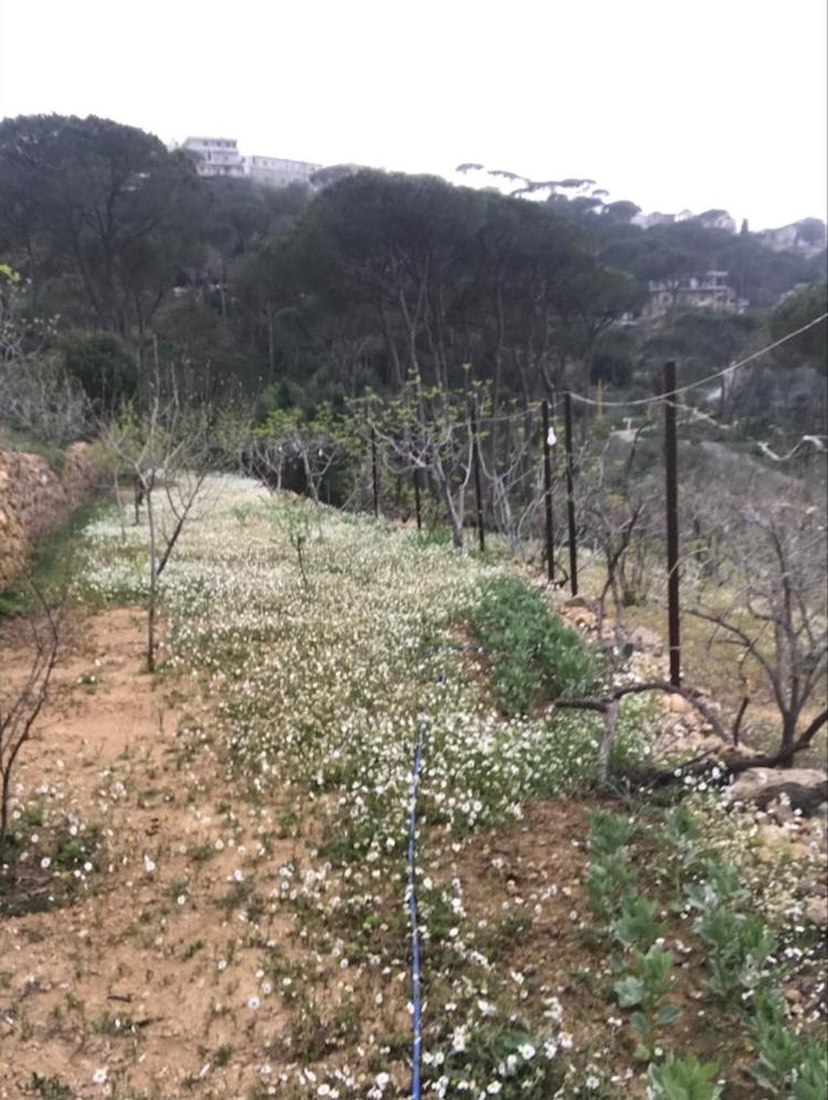 Hima Farm Heroes: Jawad Noueihed | Society for the Protection of Nature in Lebanon