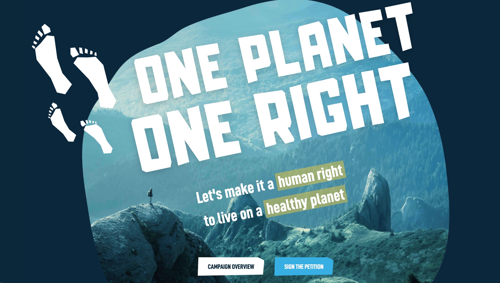 Global Call for the UN to Recognize the Right to a Healthy Environment ...