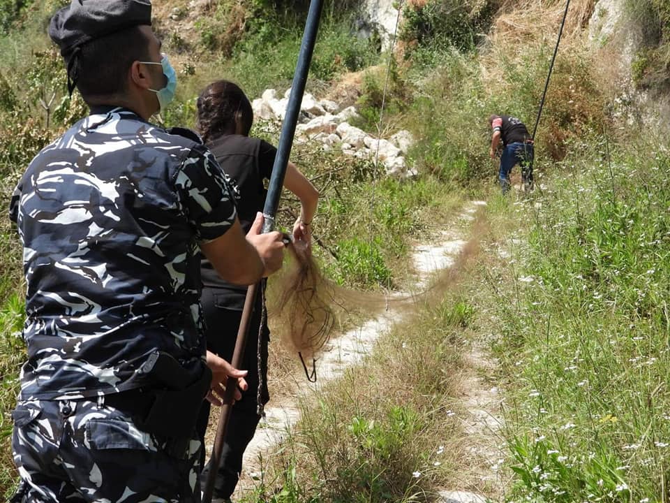 Dismantling 400 meters of mist nets in Iklim Al Kharoub | Society for ...