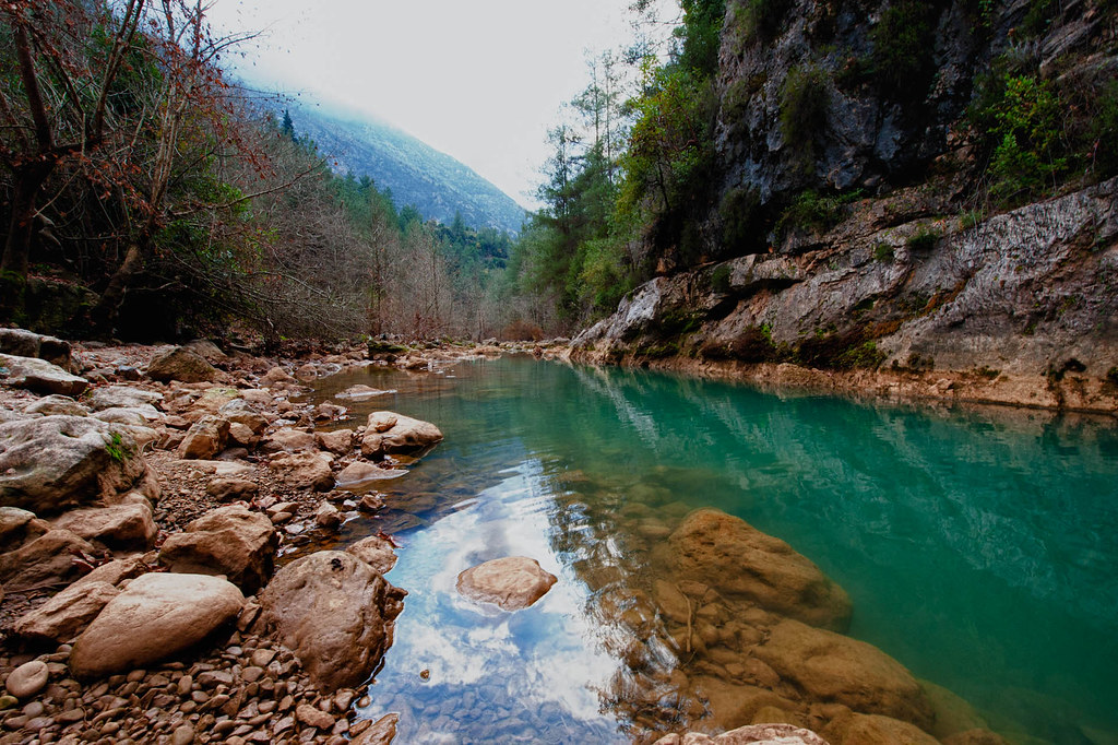 Homepage | Society for the Protection of Nature in Lebanon