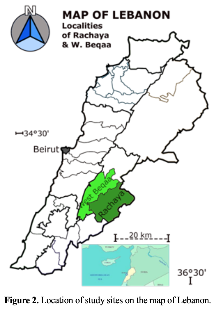 Olive Groves’ Avifauna in Lebanon: The Composition of Bird Species and ...
