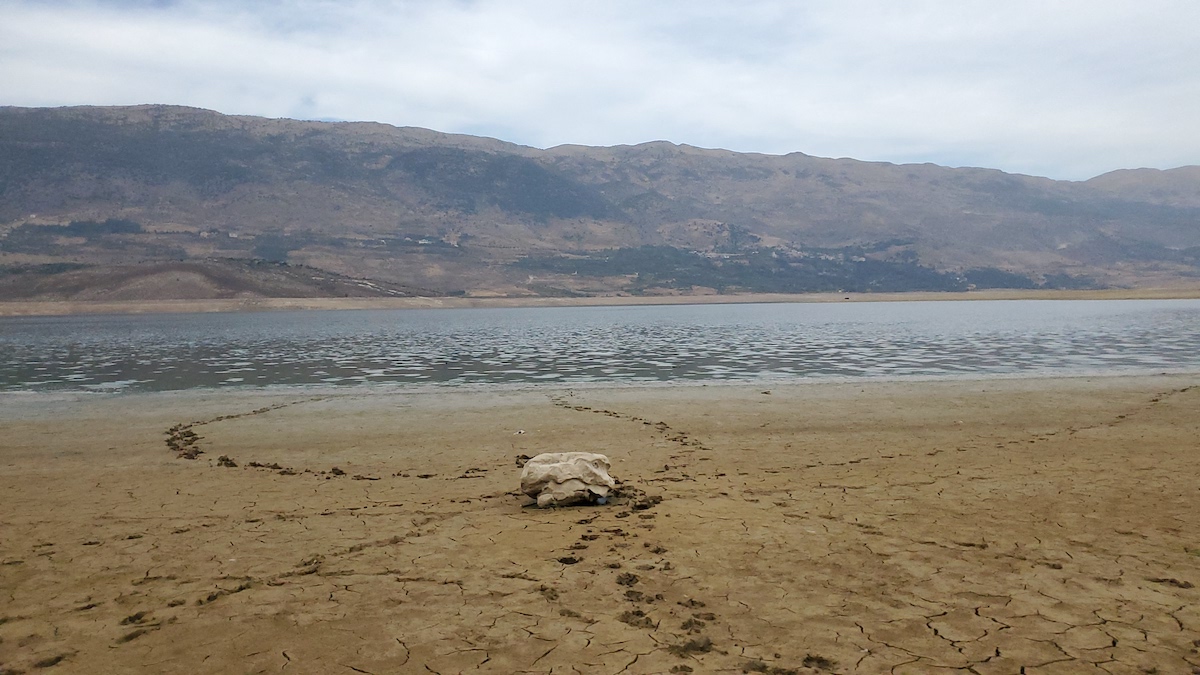 SPNL’s Fish and Wildlife Unit is on track to help conserve the Qaraoun ...