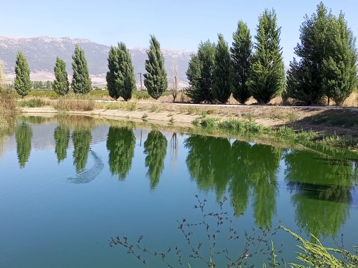 SPNL’s Fish and Wildlife Unit is on track to help conserve the Qaraoun ...