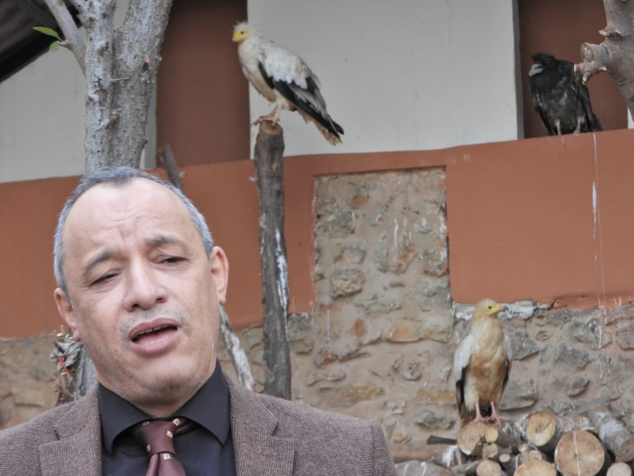 Spectacular HIMA FOR PEACE Kayfoun Quranic garden & “AL Hosn” ancient ...