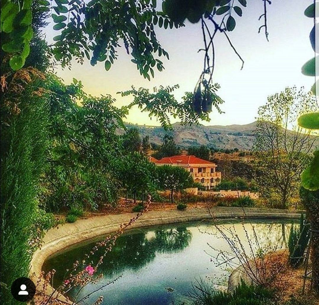 The reforestation to restore damaged public lands and connect with ...