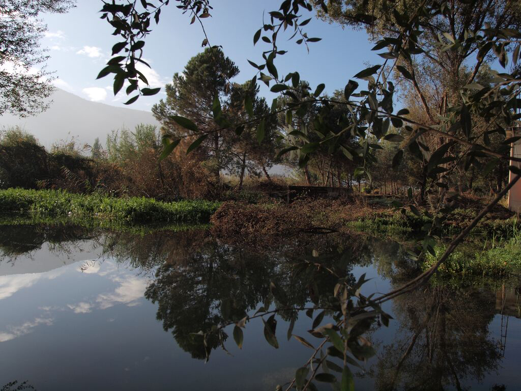 The reforestation to restore damaged public lands and connect with ...