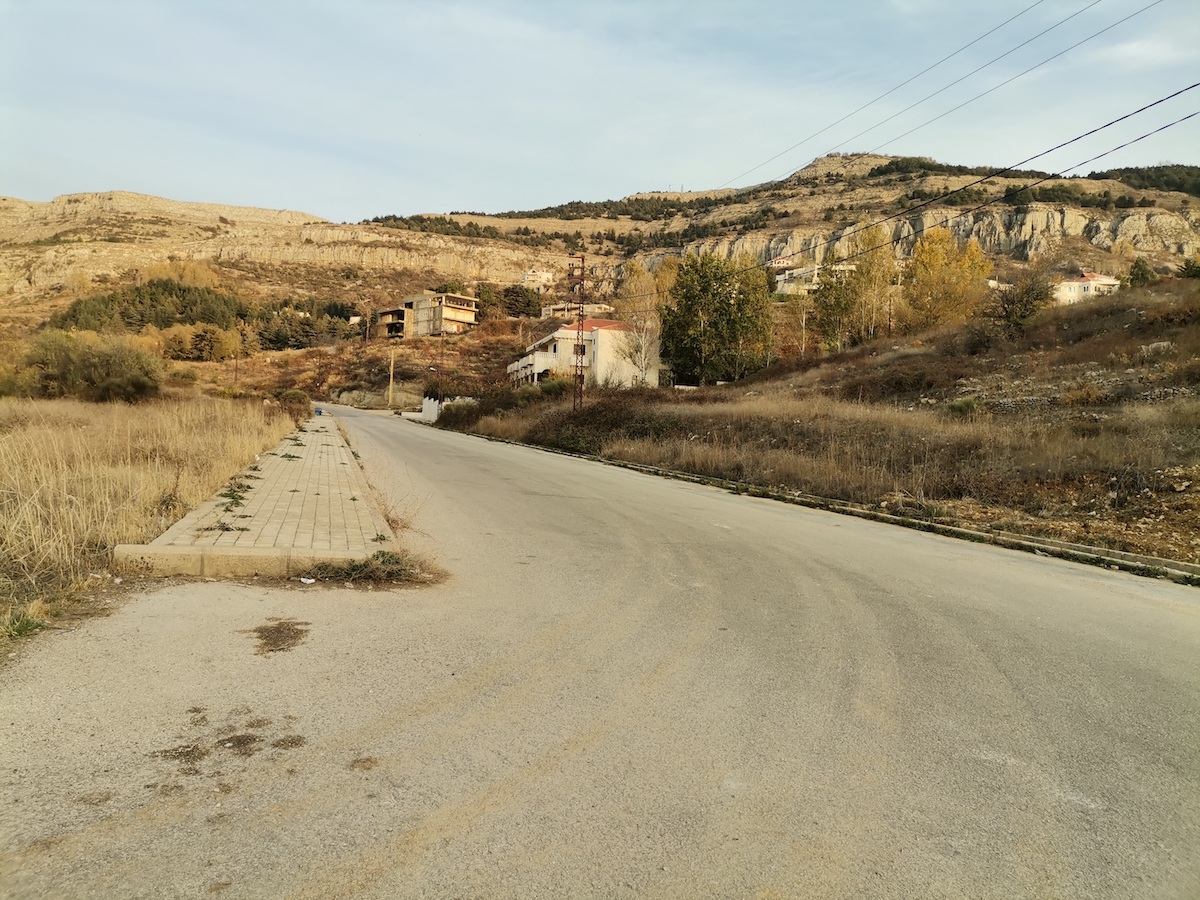 The reforestation to restore damaged public lands and connect with ...