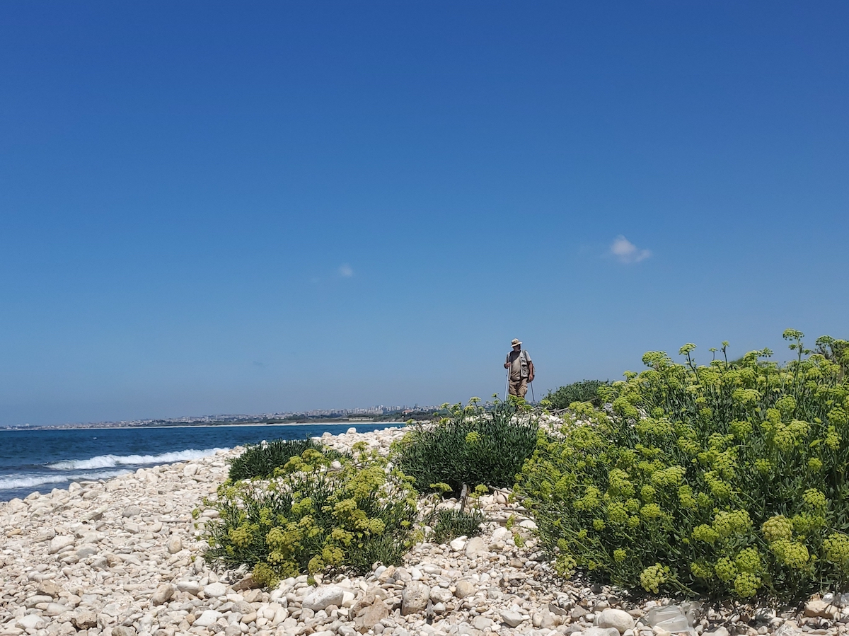 Bioconnect | Society for the Protection of Nature in Lebanon