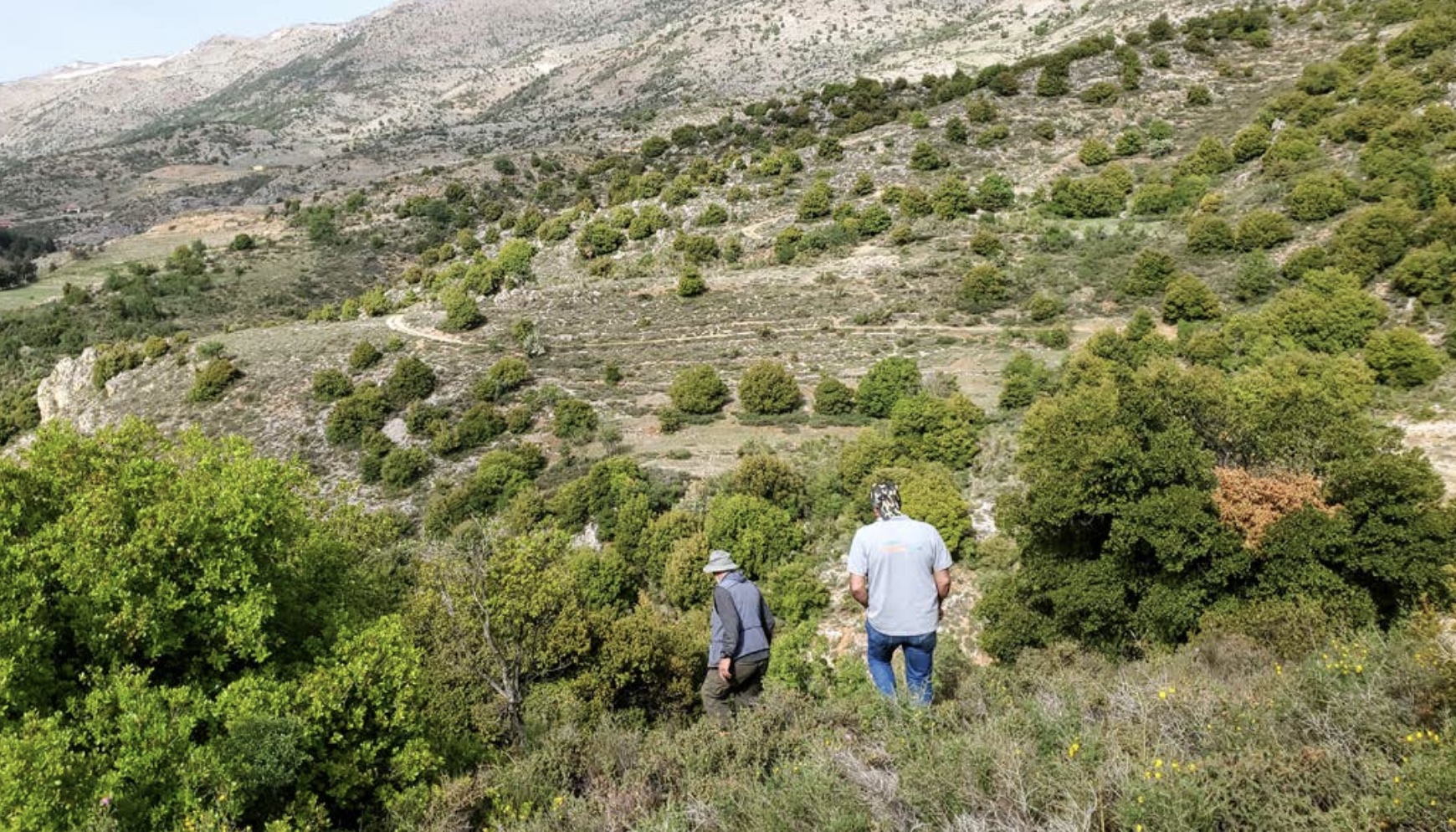 Landscape Connectivity & Community Engagement Key To More Efficient ...