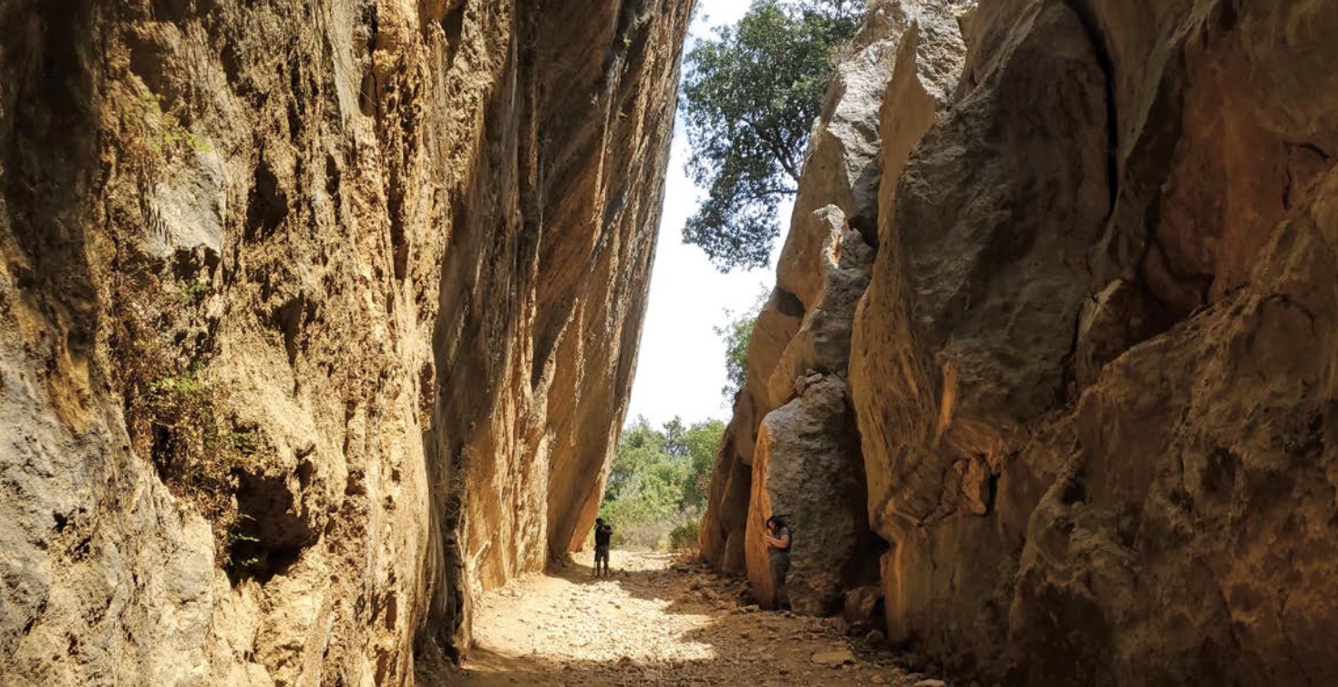 Hima Network in Lebanon: Protecting Nature, Empowering Communities with ...