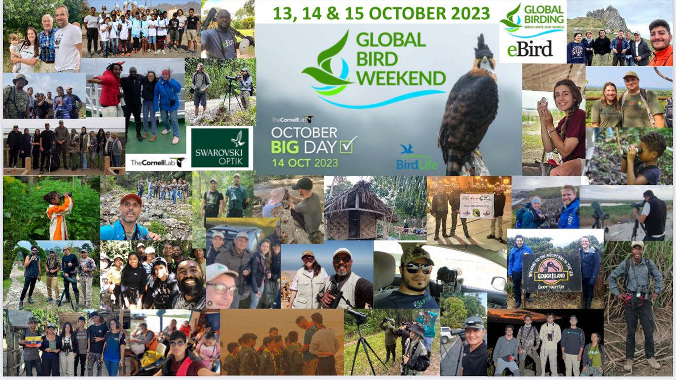 Global Birding and eBird for Global Bird Weekend | Society for the ...