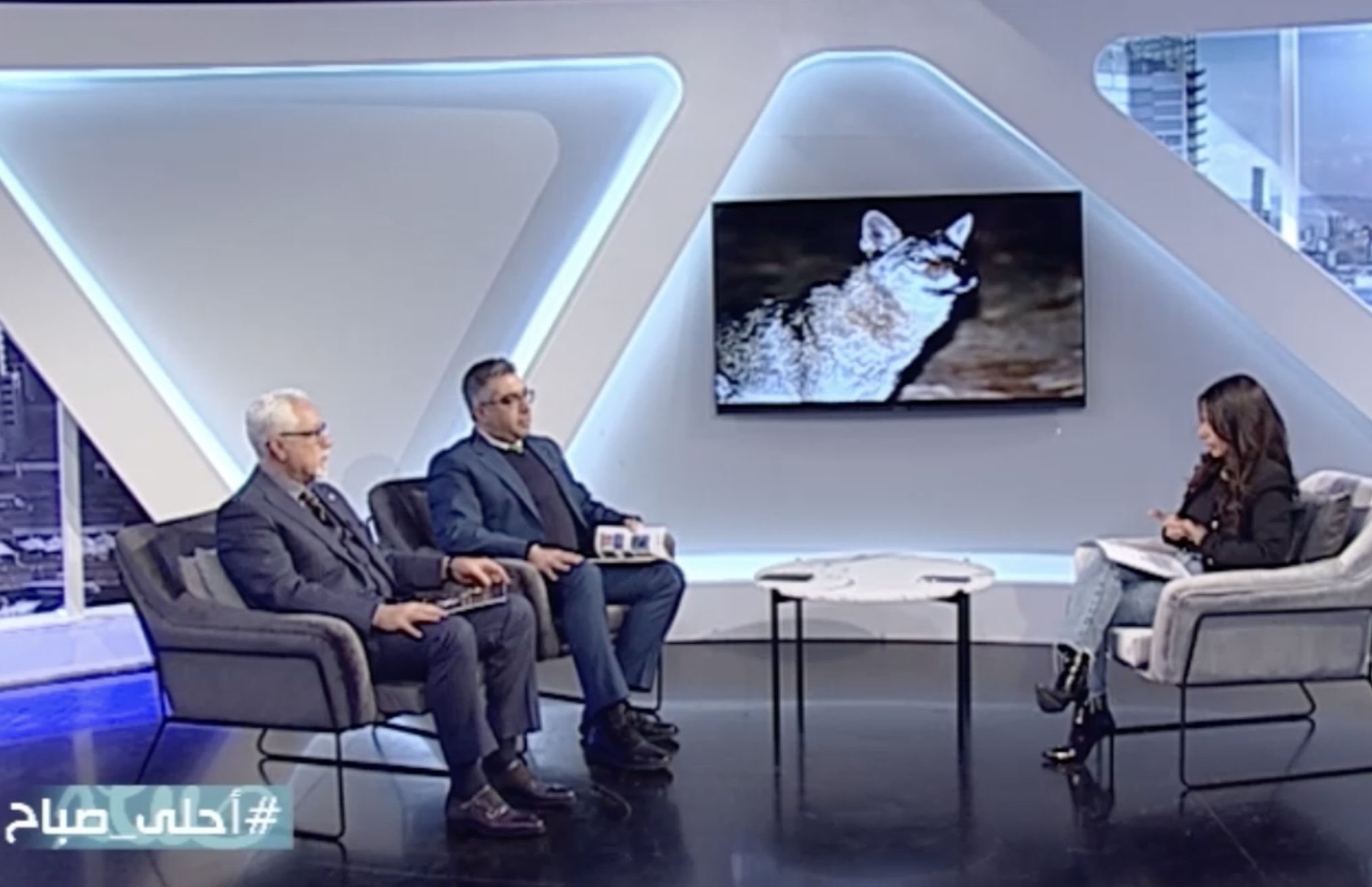 Asaad Sarhal and Fadi Ghanem guests of Tele Liban to promote ...