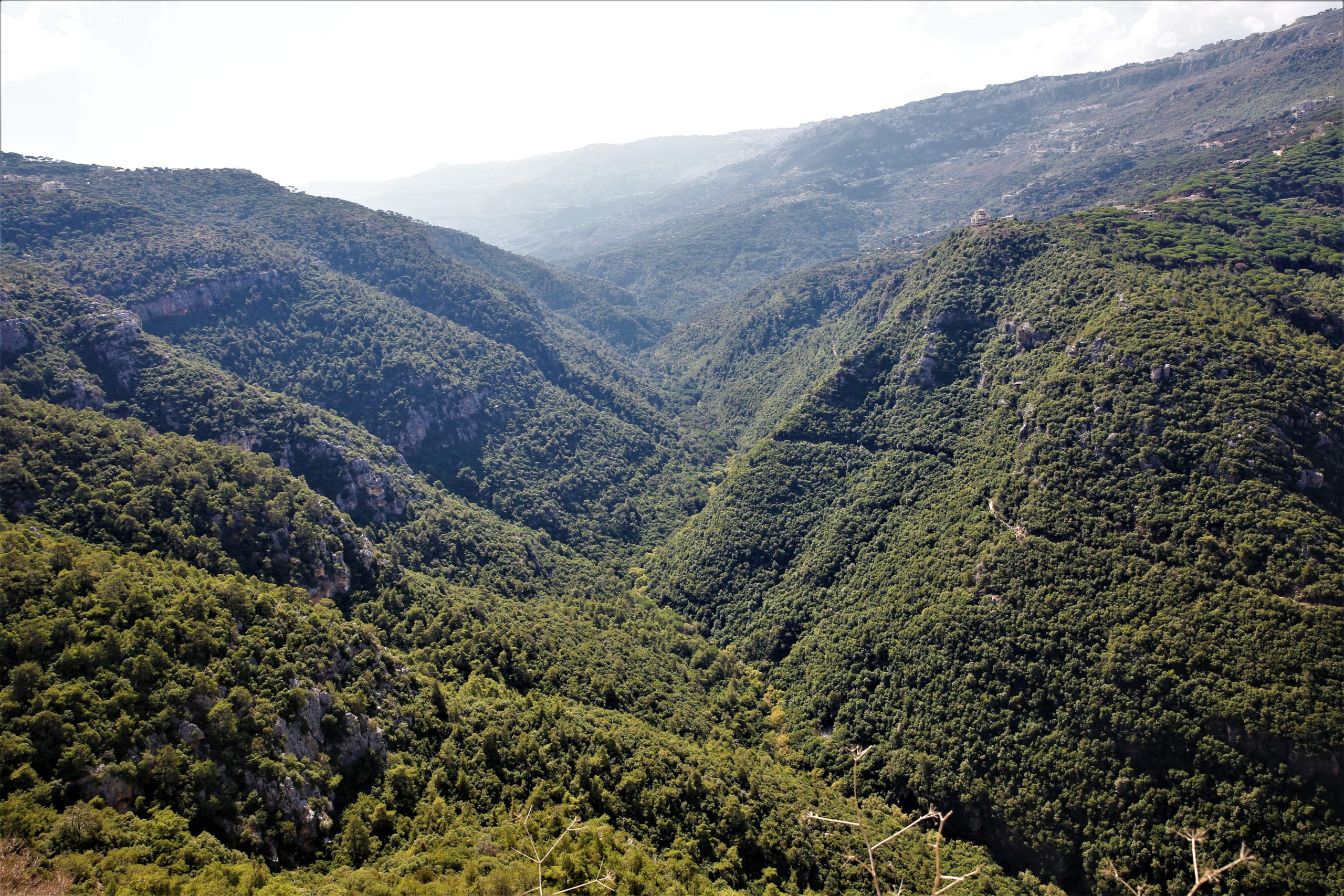 Upper Beirut River Valley National Park | Society for the Protection of ...