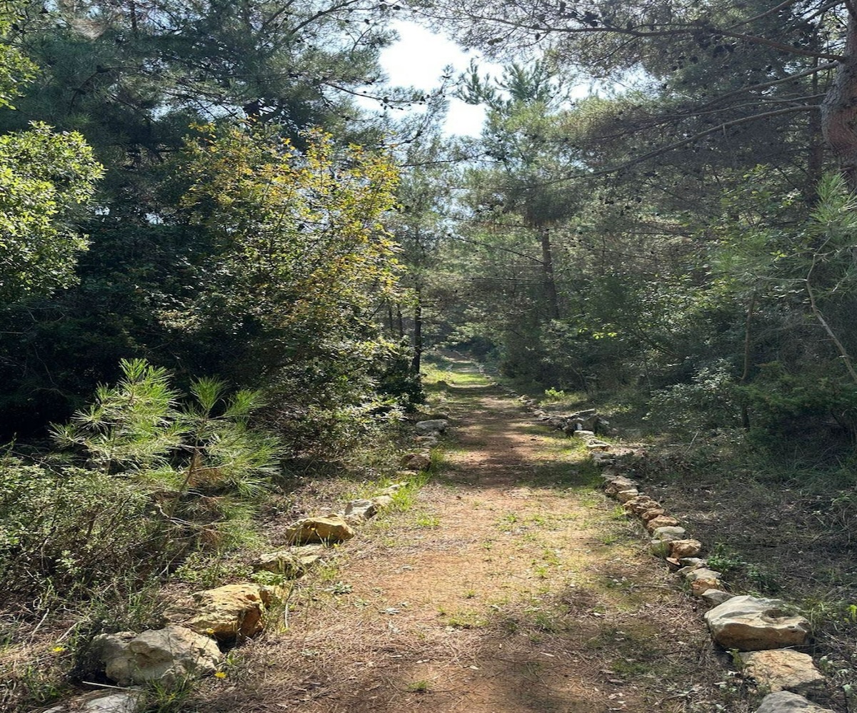 Success Story: Hima for Peace | Society for the Protection of Nature in ...