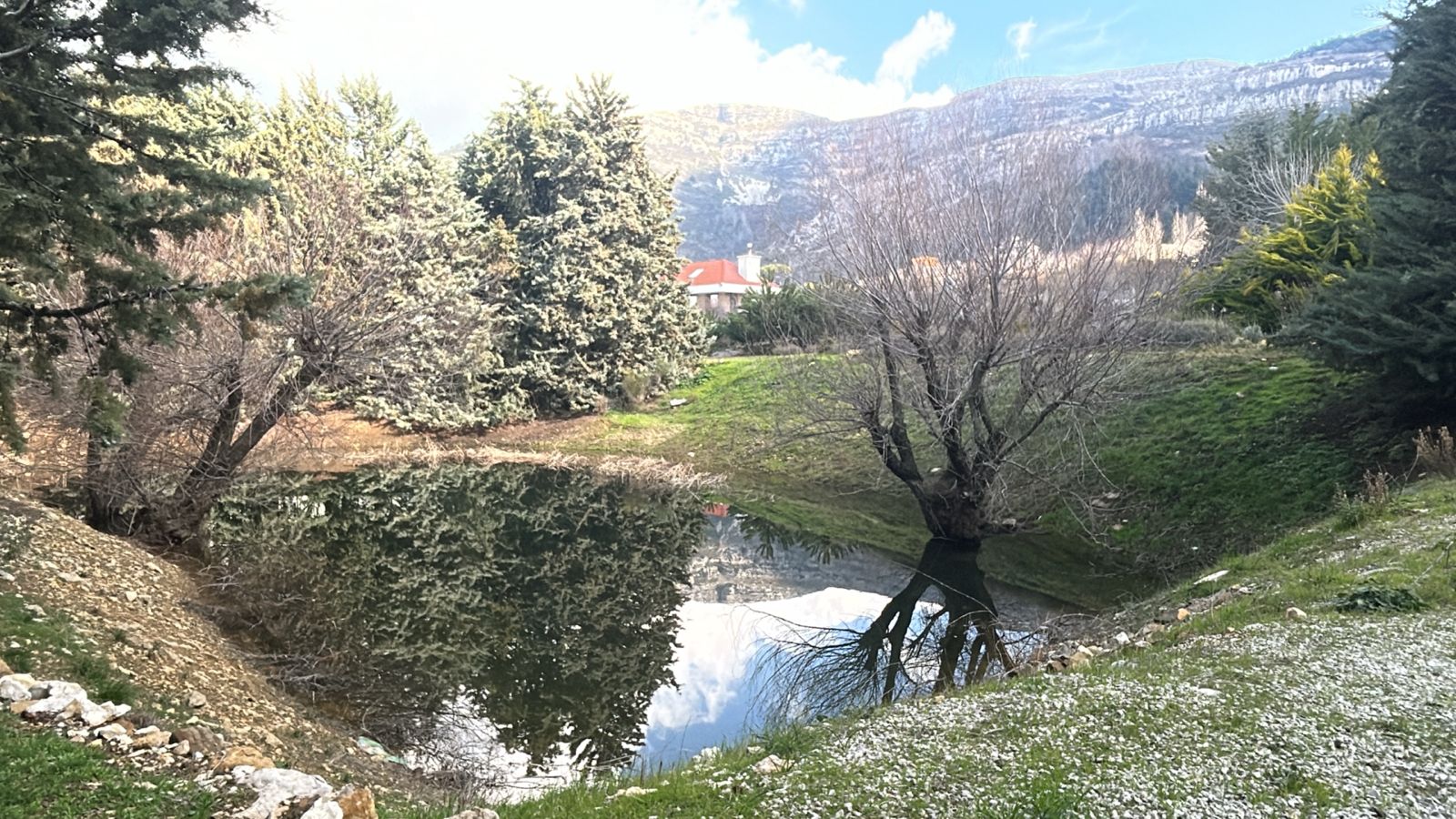 Hima Hammana Farm: Where flowers bloom, so does hope! | Society for the ...