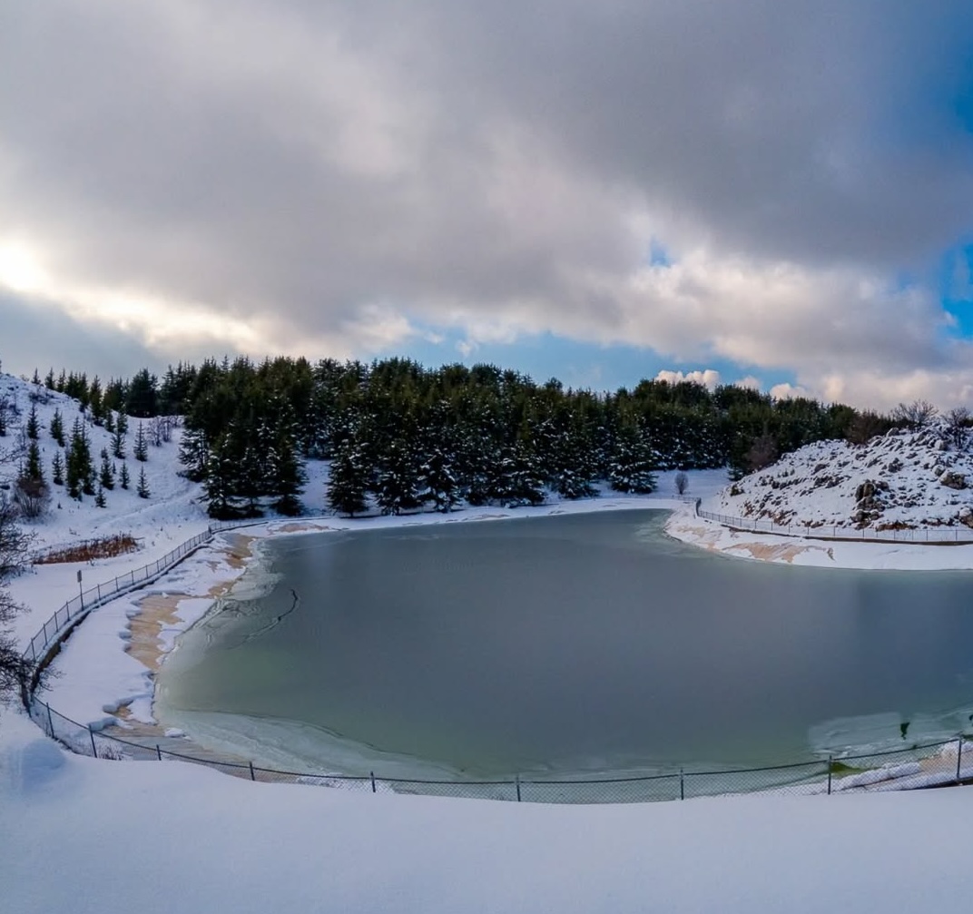 Lebanon Achieves Conservation Milestone: Shouf Biosphere Reserve Joins ...