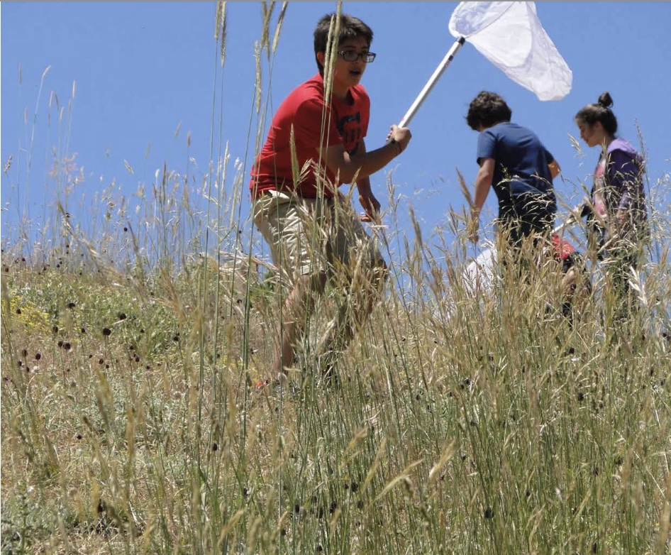 SNOW: Toward a National Program | Society for the Protection of Nature ...