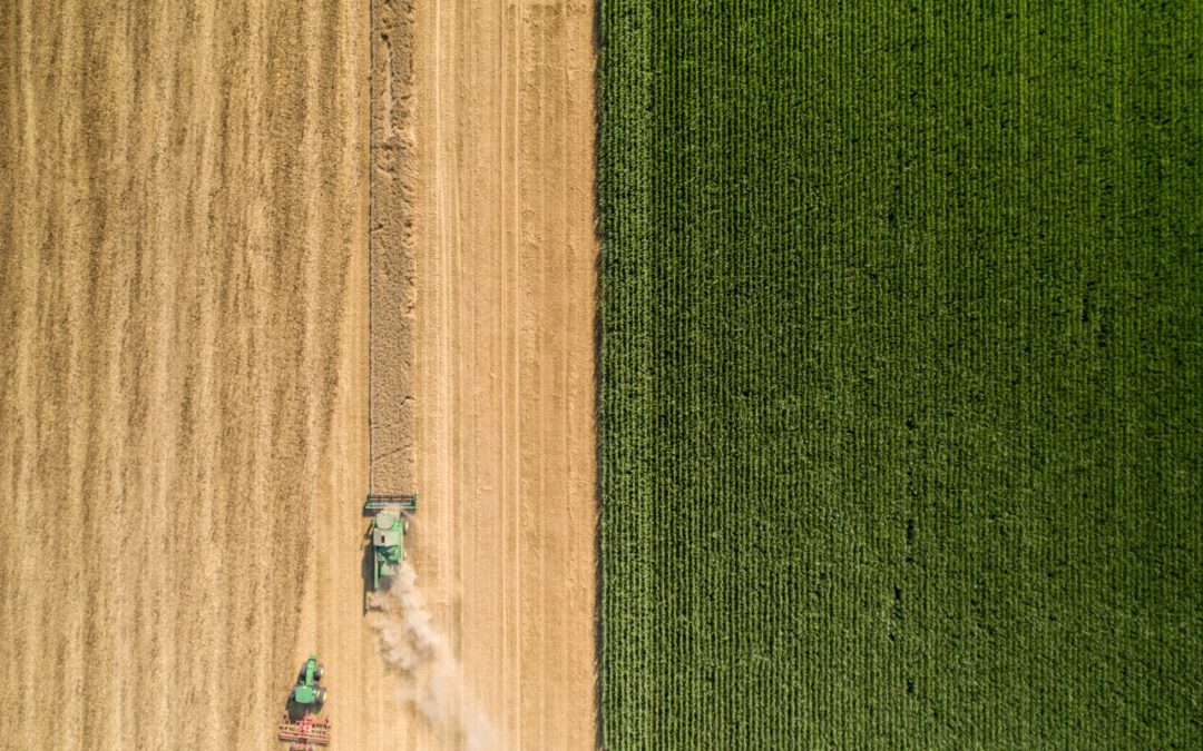 Why we need space for nature on farms | Society for the Protection of ...