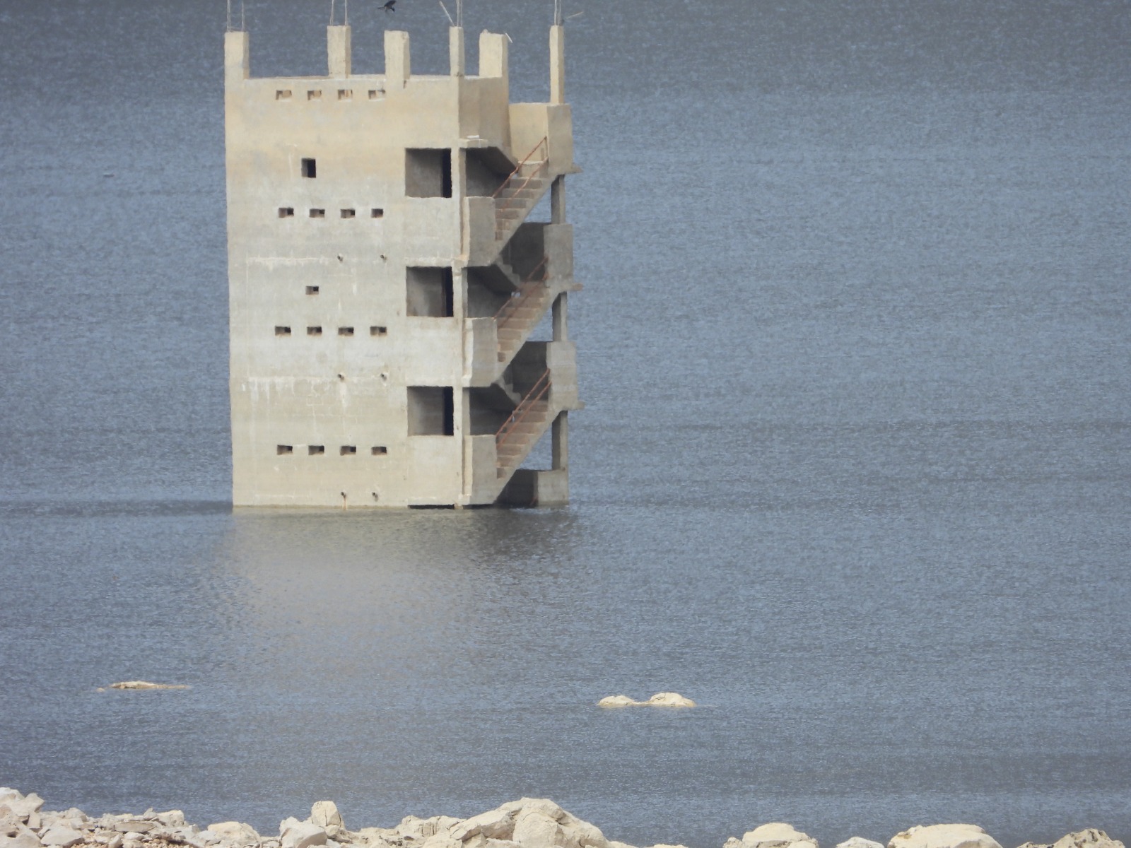 Fish & Wildlife Unit Conducts Patrol on Qaraoun Lake to Assess ...